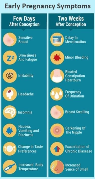 Early Pregnancy Symptoms: Every Woman Should Know - Doctor Zara