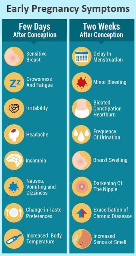 Early Pregnancy Symptoms: Every Woman Should Know - Doctor Zara